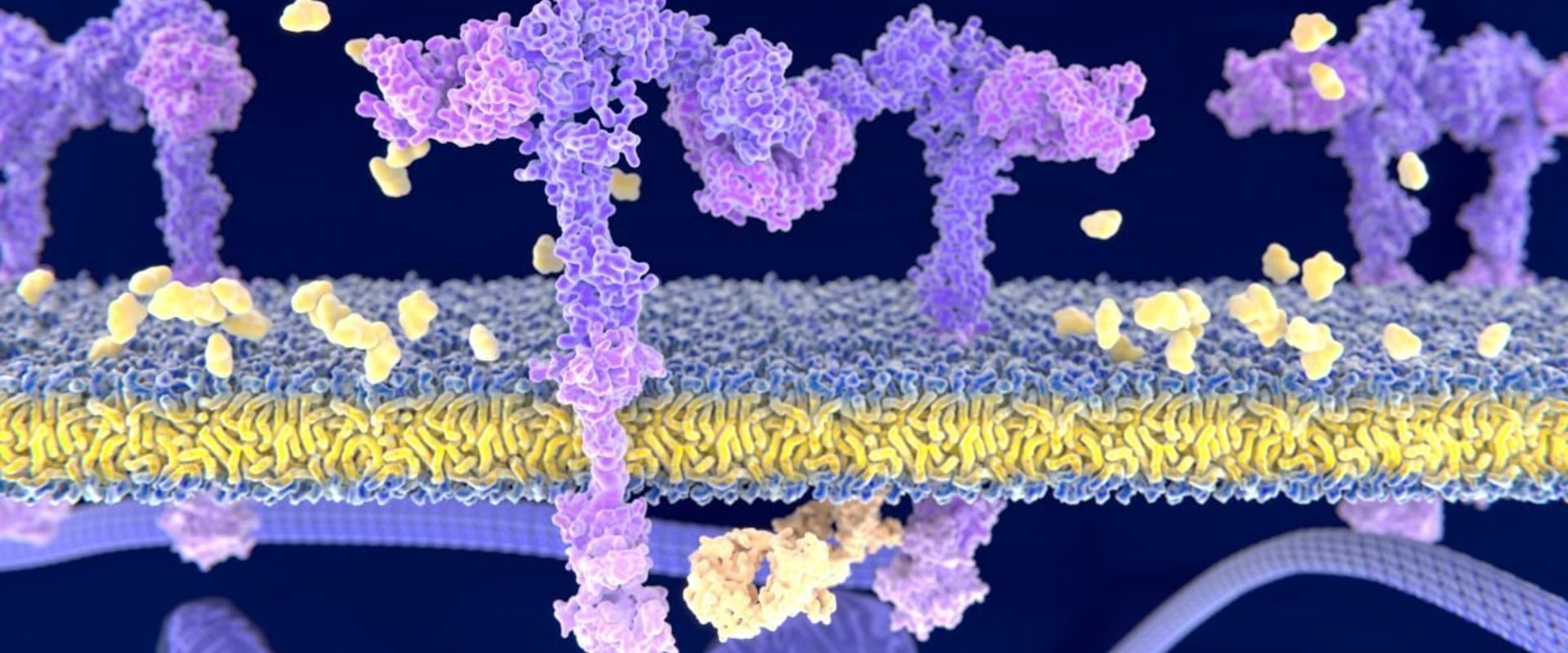 The Process of Peptide Synthesis: A Comprehensive Guide to ...