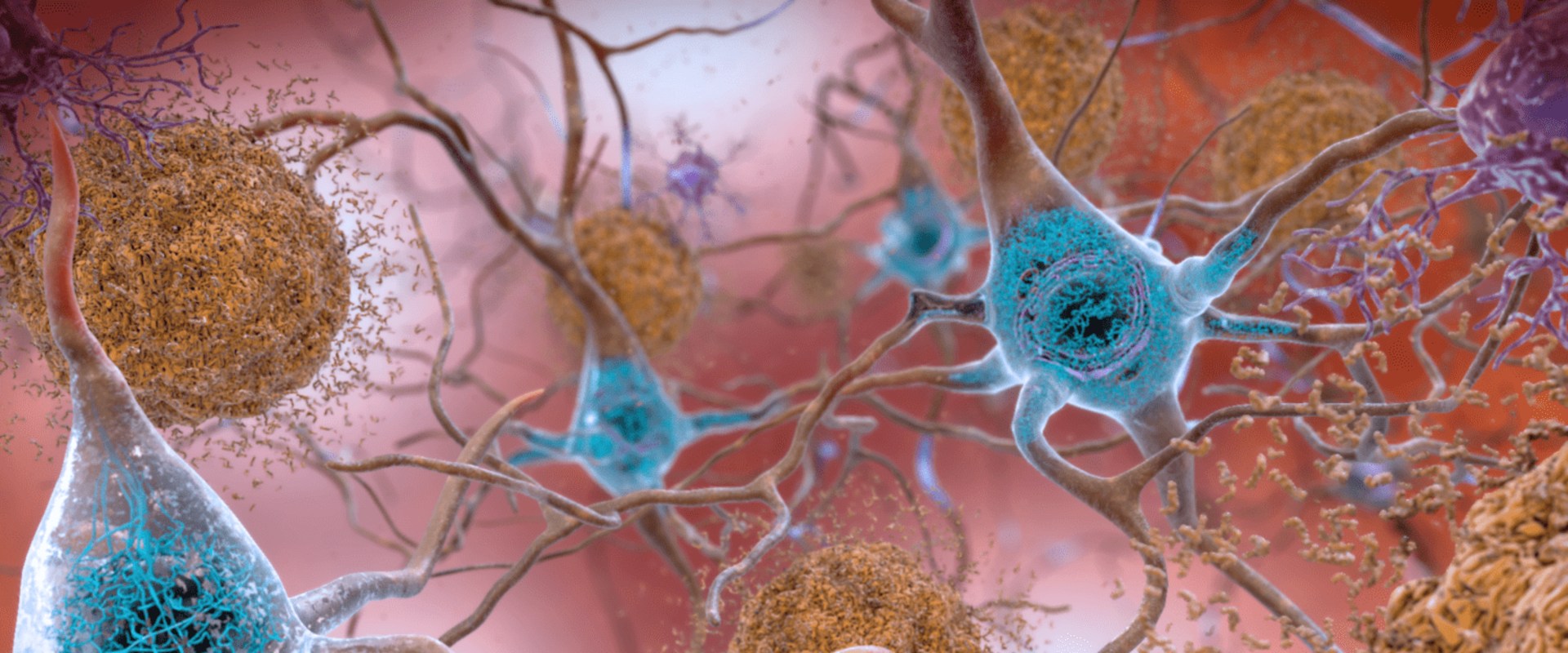 Understanding Insulin-like Growth Factor-1 (IGF-1) for Bodybuilding and ...